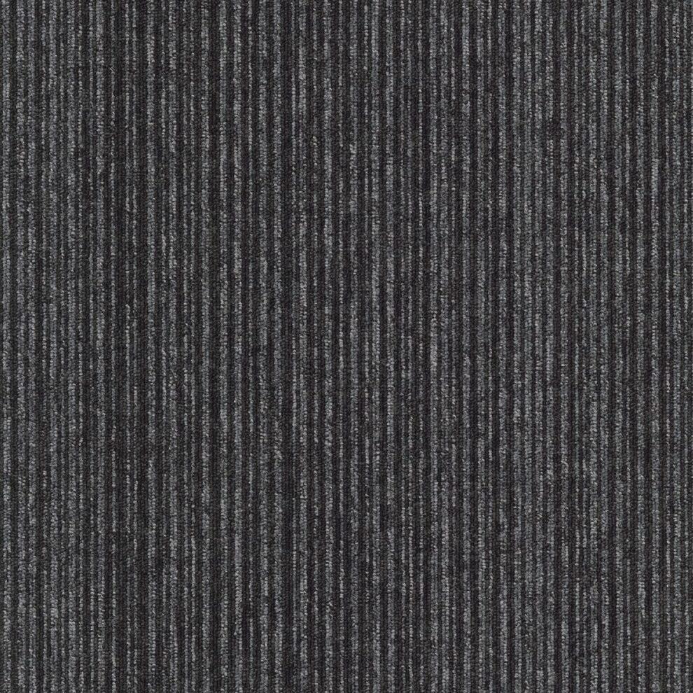 Mocheta neagra buclata, birou, Coral Lines 60340, Tapibel, 4 ML