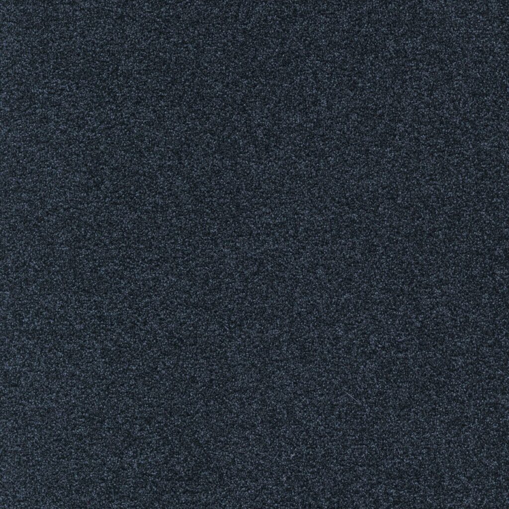 Mocheta poliamida neagra, pentru interior, Tapibel Diplomat 58560, 5.5 ...